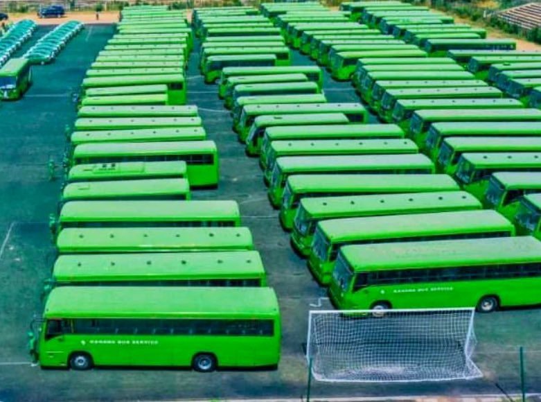 Ganduje Unveils 100 Ultra-modern Buses, 50 Taxis to Boost ...